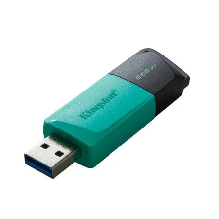 Kingston Usb flash memorija data traveler exodia 3.2 256gb dtxm/256 m ( FM836 )