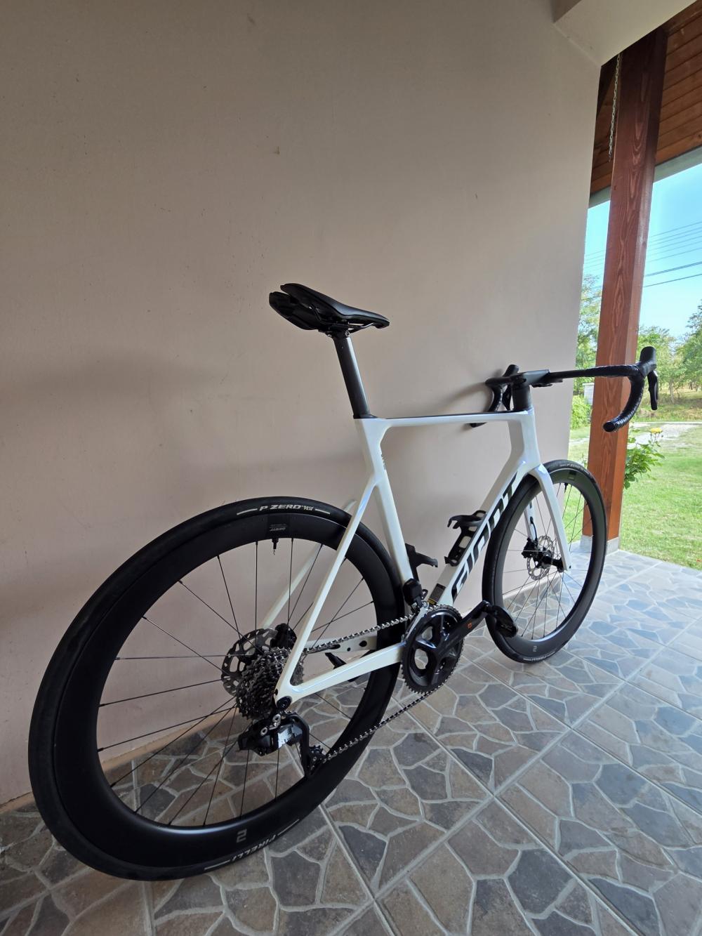 Giant Propel advanced 1( 2026)