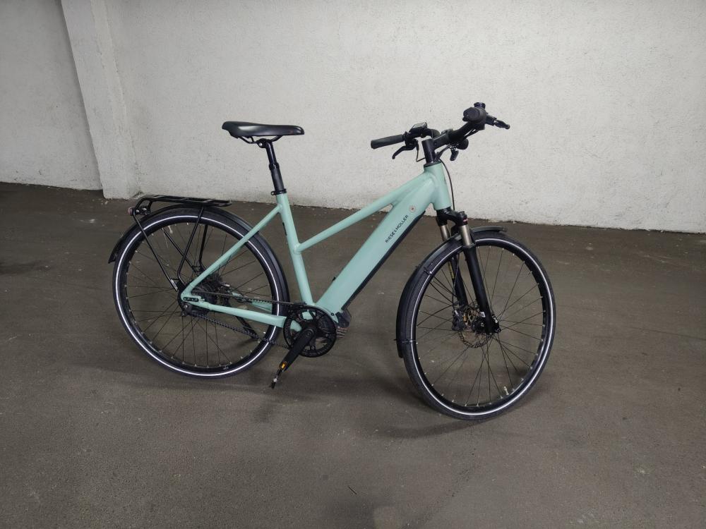 Riese Müller Roadster Mixte