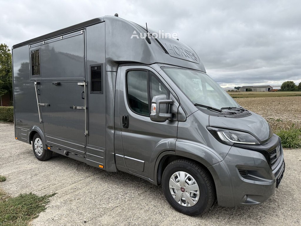 Novi Fiat Ducato vozilo za prevoz konja
