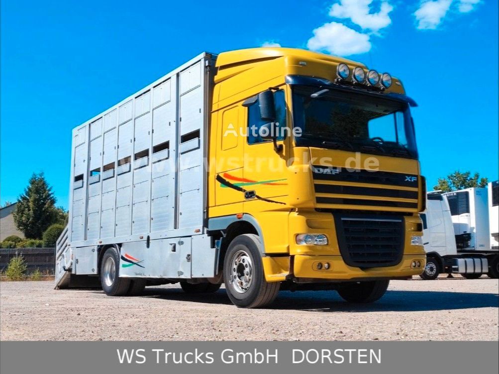 DAF XF 410 SC Menke Doppelstock kamion za prevoz stoke