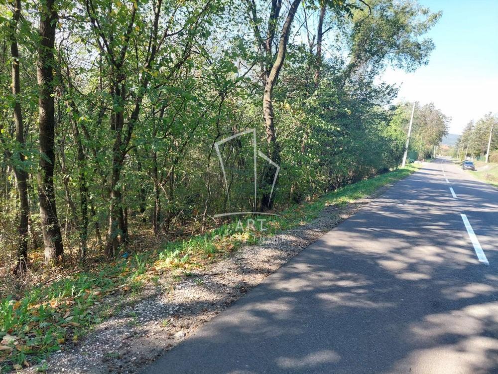Zemljište u podnožju Kosmaja ID#16439
32.500 €