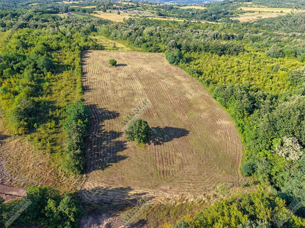 Prodaja: Uknjiženo Poljoprivredno Zemljište – Babe, Sopot ID#1461
124.000 €