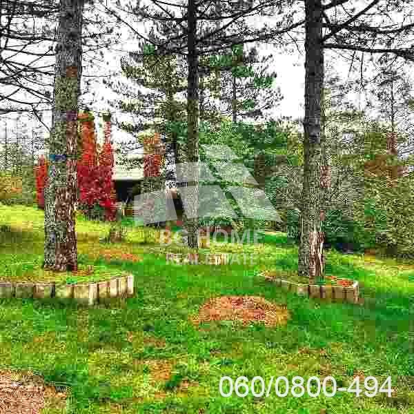 Hitna prodaja! Kuća na Zlatiboru, Prote Simića ID#2244
193.999 €