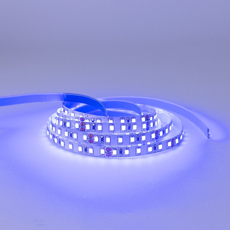 Plava LED traka 12V 10W, 2835/120, IP20