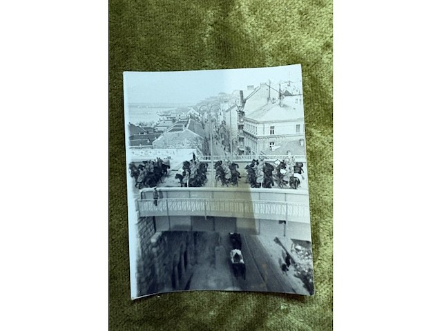 Stara crno-bela fotografija – Beograd, Konjički sport
