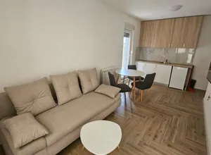 Izdavanje Stan - Beograd, Novi Beograd: Ledine