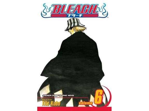Bleach, Vol. 6