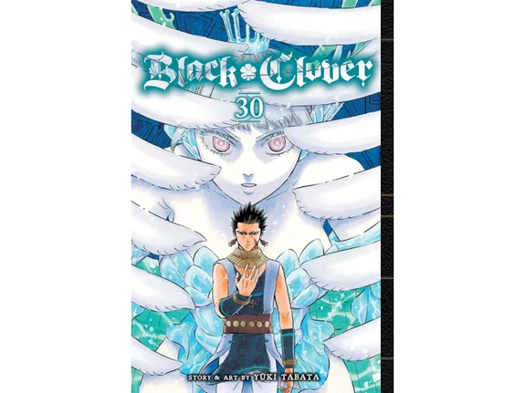 Black Clover, Vol. 30