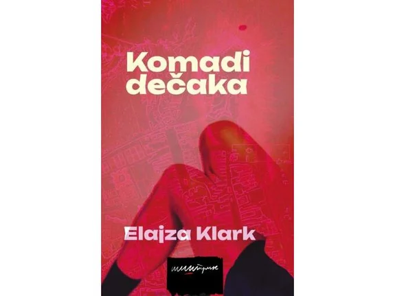 Komadi dečaka - Elajza Klark