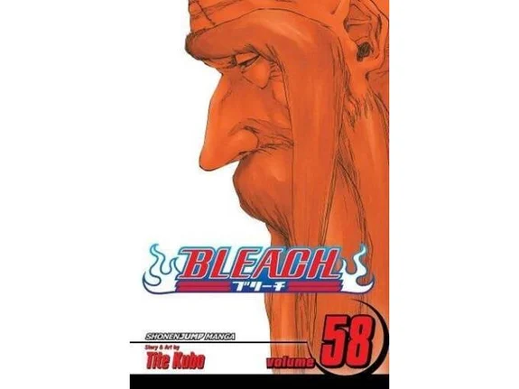 Bleach, Vol. 58: The Fire - Tite Kubo