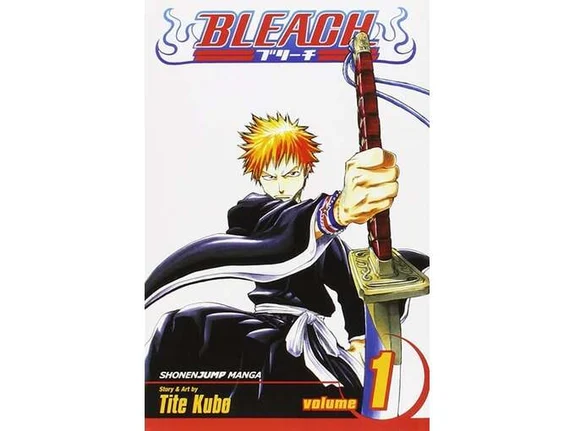 Bleach, Vol. 1