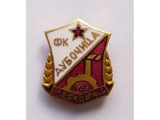 FK Dubočica, Leskovac ⚽