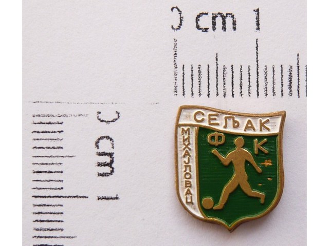 FK Seljak, Mihajlovac ⚽