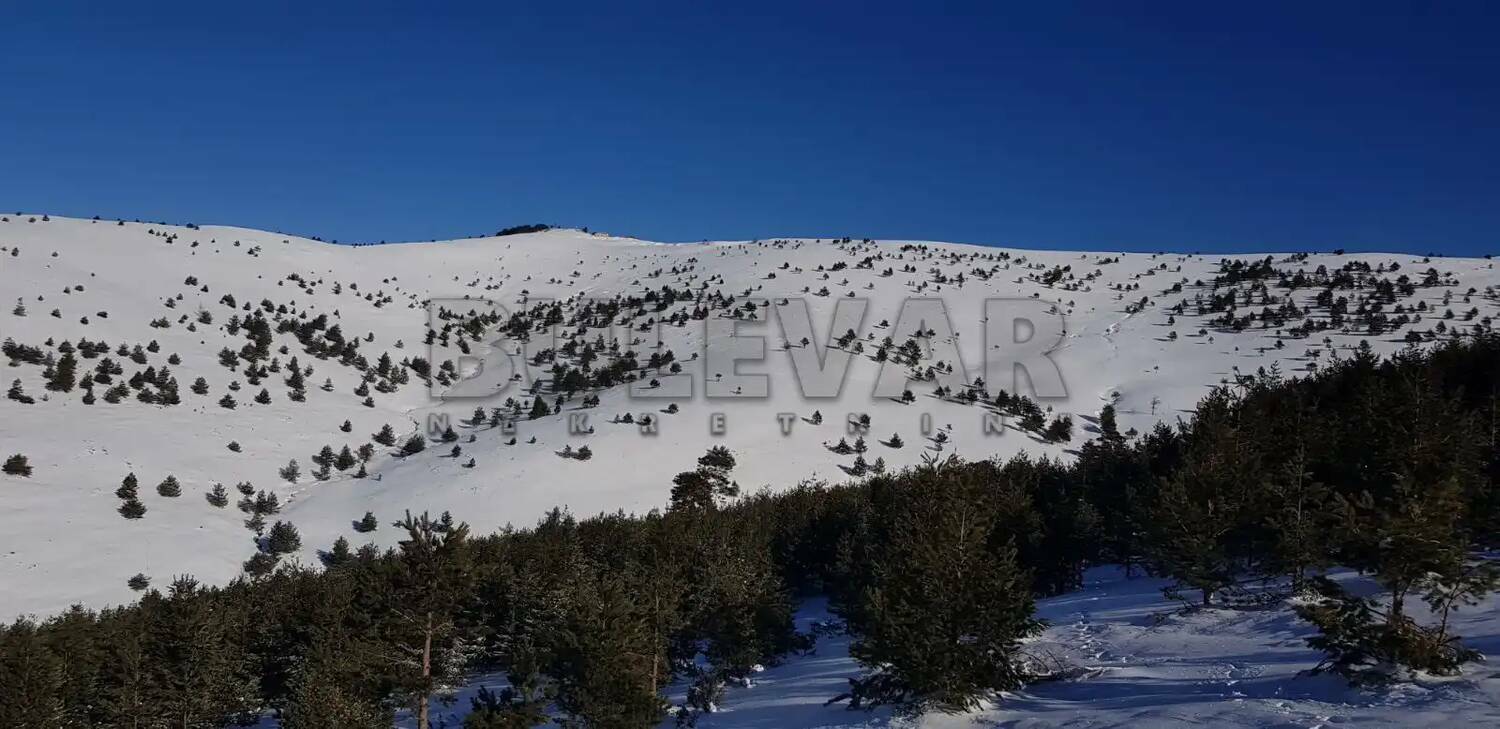 Plac, Zlatibor – Čigota | Prodaja · 15071m² · 300.000€