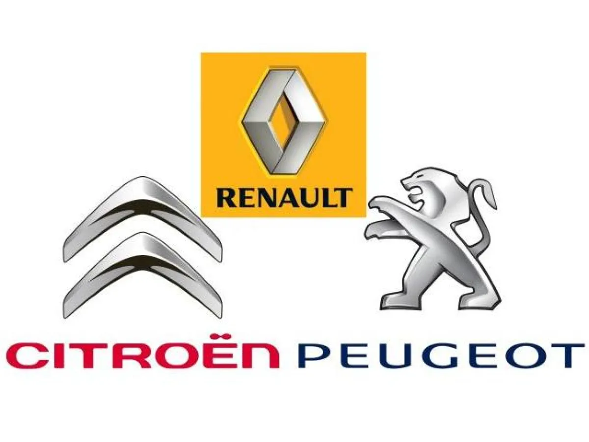 Prodaja delova za Peugeot 206 PLUS 2010.god