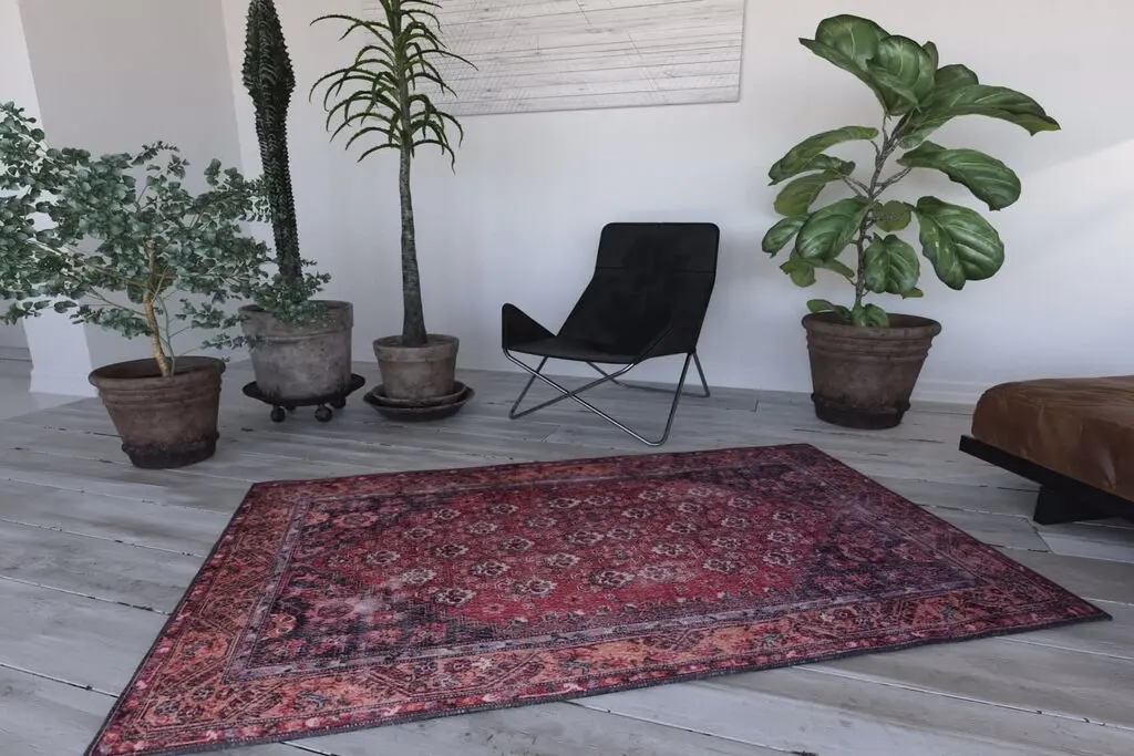 Conceptum Hypnose Tepih Blues -AL 151, 230x330 cm, Bordo