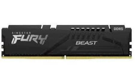 Kingston ddr5 16gb 5600mhz fury beast memorija ( 0001322190 )