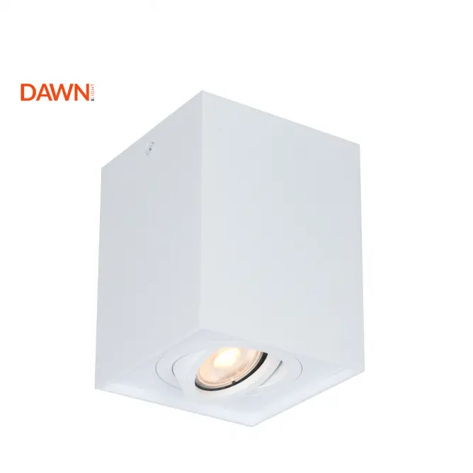 DAWN plafonska svetiljka GU10 bela