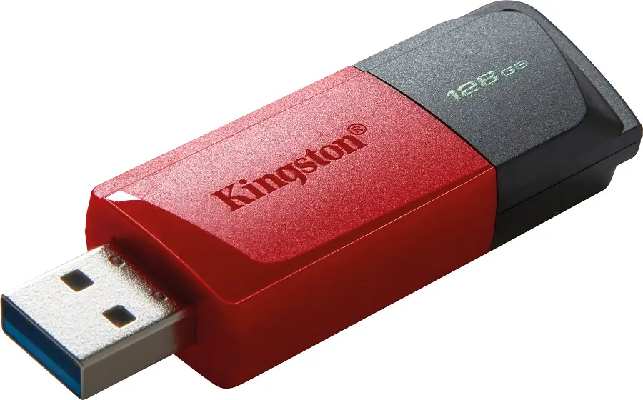 KINGSTON USB Fleš 128GB DTXM/128GB USB 3.2