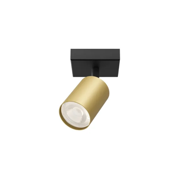 Braytron BH04-00816 | Spot lampa | zlatna-crna | GU10