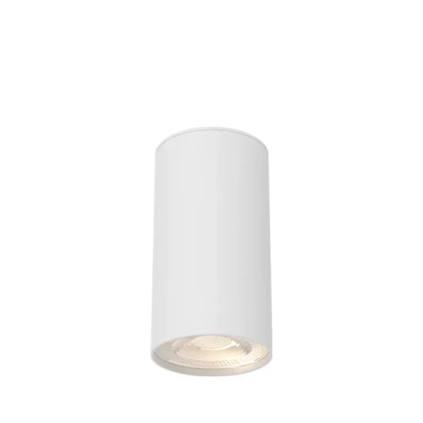 Braytron BH04-00500 | Nadgradna svetiljka | bela | GU10
