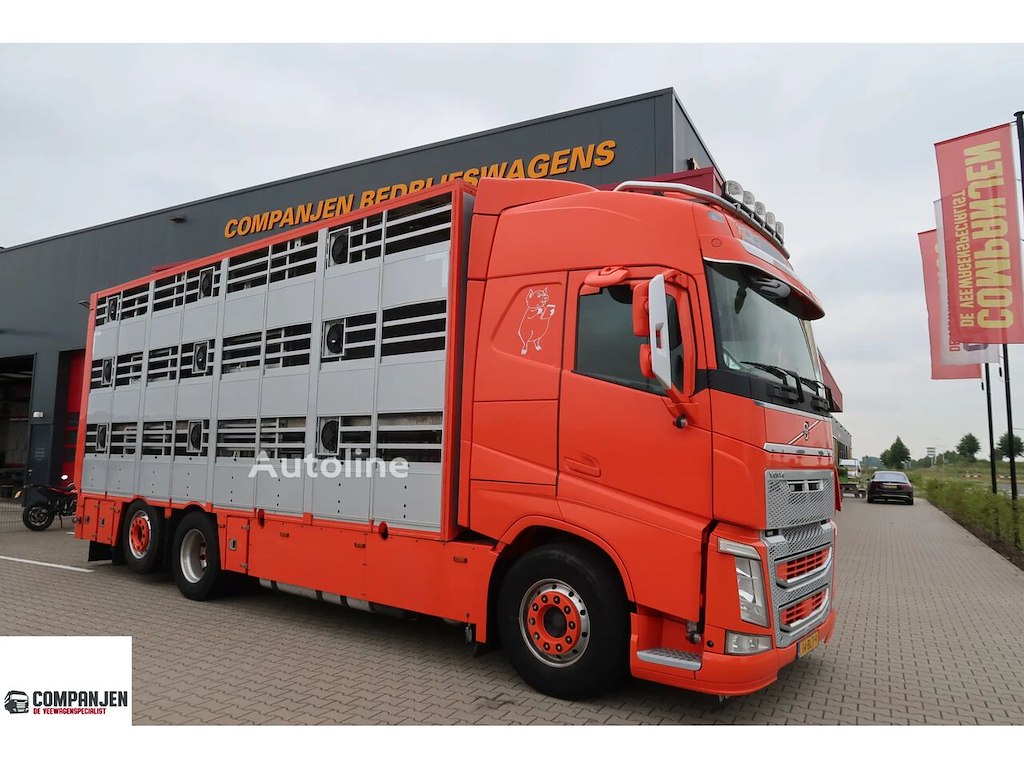 Volvo FH 460 24J3C - Pig transporter kamion za prevoz stoke