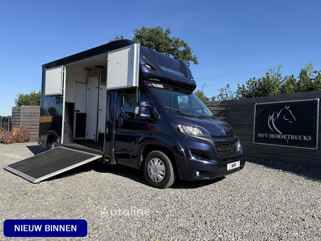Peugeot Boxer | HORSETRUCK | MVV | STALLION 3XL vozilo za prevoz konja