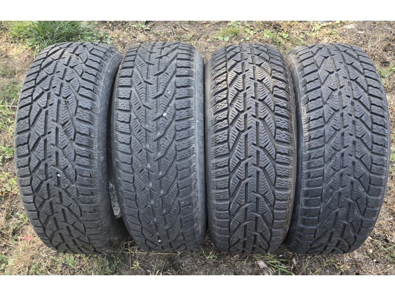205/55R16 ZIMSKE GUME RIKEN