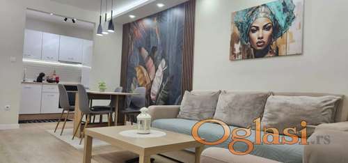 Stan Na Dan Pirot Apartman 2 Vukota Pirot