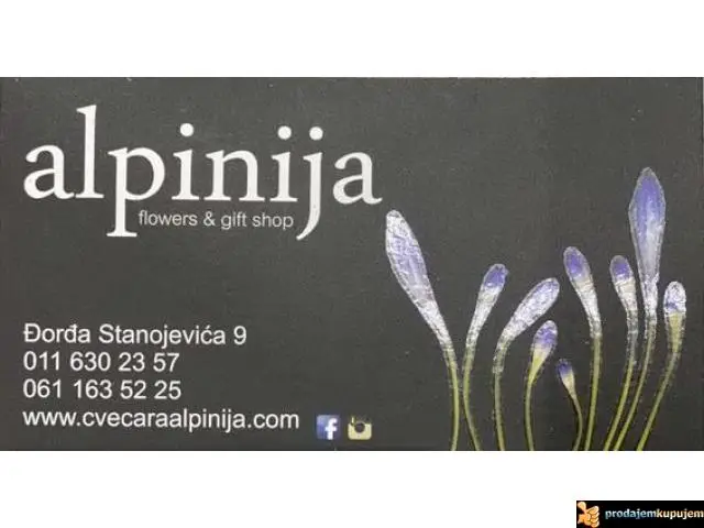 Potrebna devojka za rad u cvecari do 35 g starosti sa iskustvom u trgovini