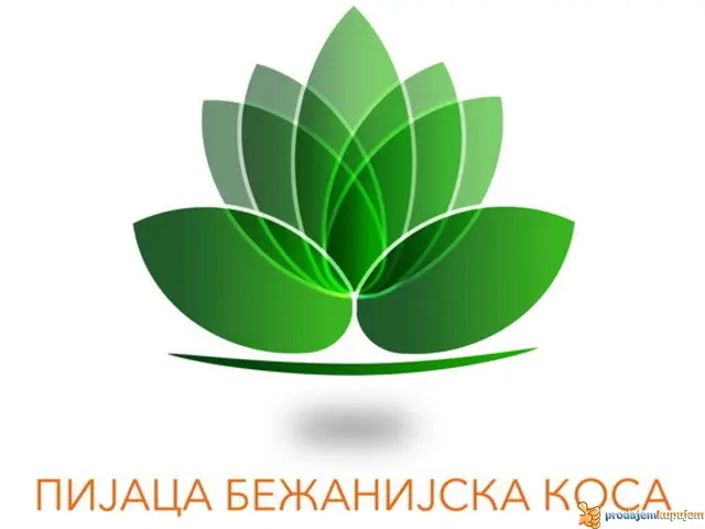 Na pijaci Bezanijska kosa potreban je referent naplate