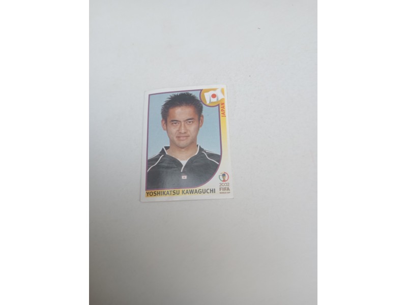 Korea Japan 2002 Panini WC ziva slicica Br 533