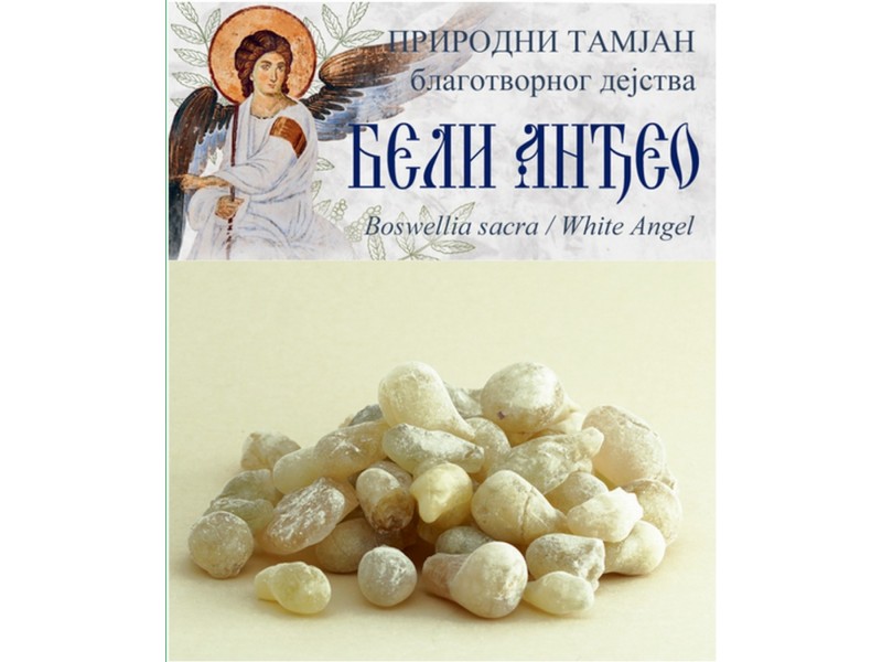 Tamjan Beli Anđeo - Boswellia Sacra