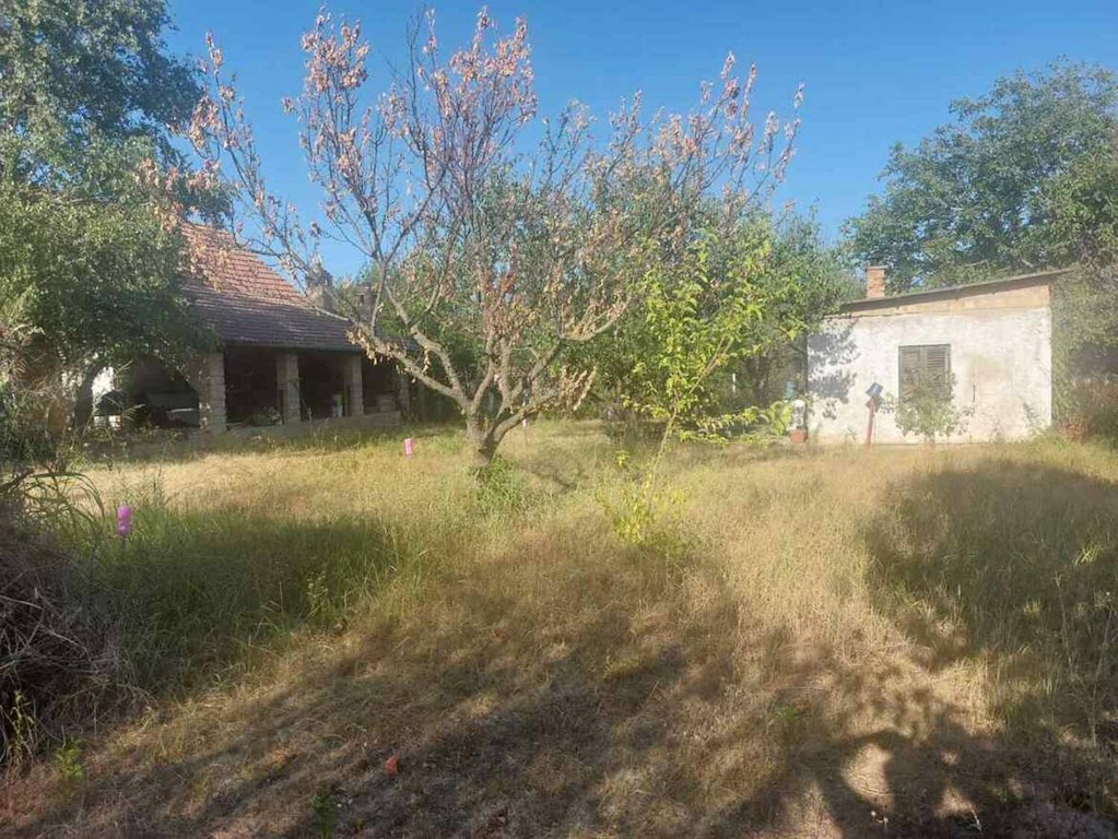 Plac, Čortanovci | Prodaja · 2569m² · 1€