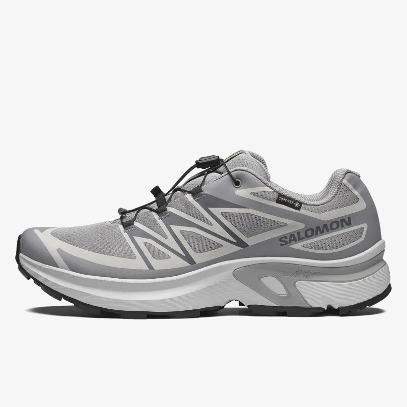 Salomon XT-EVR GTX