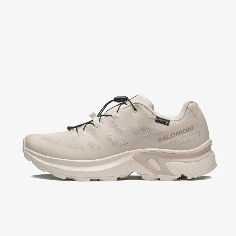 Salomon XT-EVR GTX