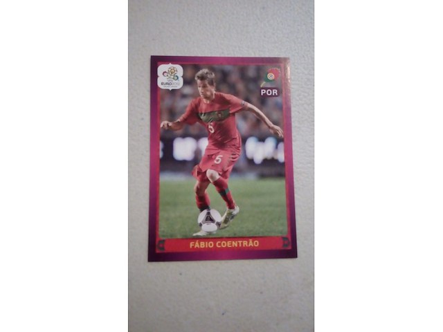 Panini EURO 2012 sličica broj 278