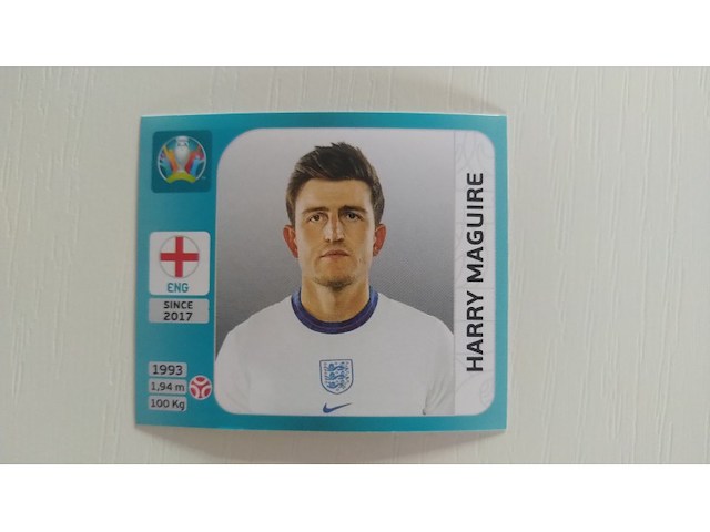 Panini EURO 2020 tournament edition sličica broj 391