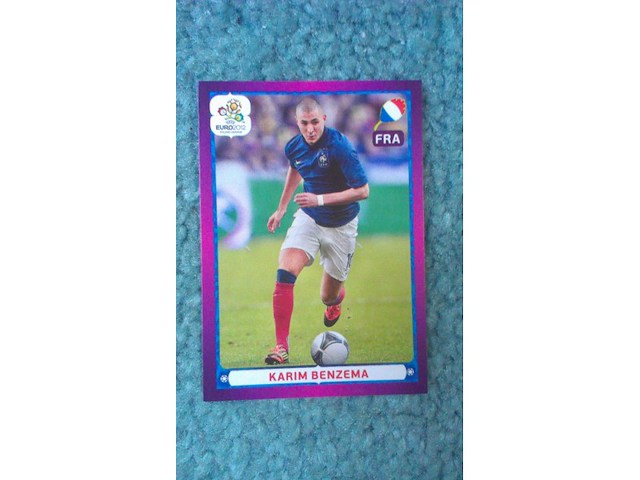 Panini EURO 2012 sličica broj 483