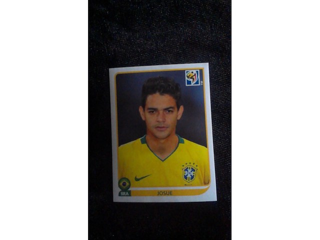 Panini FIFA 2010 J.Afrika sličica broj 495