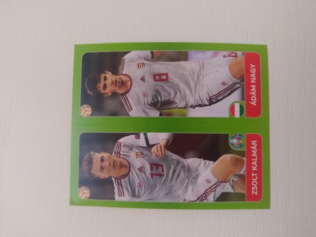 Panini EURO 2020 tournament edition sličica broj 625