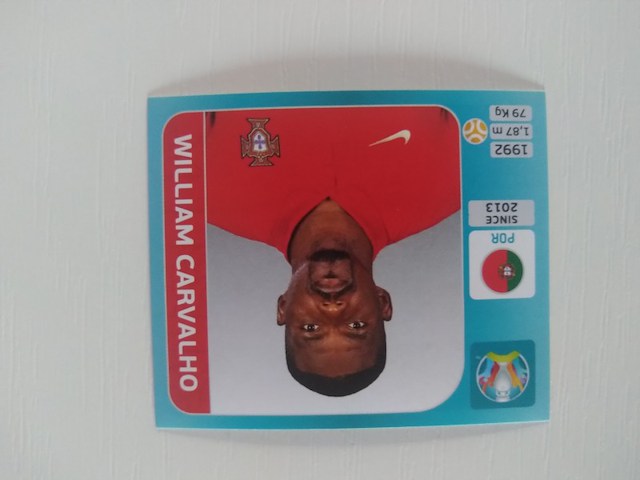 Panini EURO 2020 tournament edition sličica broj 650