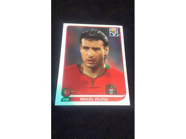 Panini FIFA 2010 J.Afrika sličica broj 555