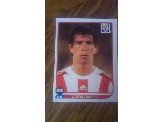 Panini FIFA 2010 J.Afrika sličica broj 442