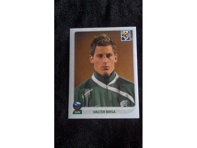 Panini FIFA 2010 J.Afrika sličica broj 255