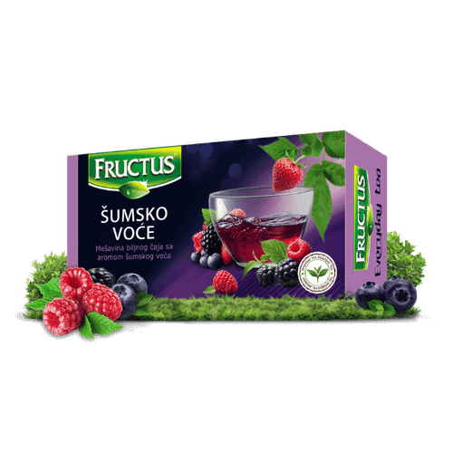 Fructus čaj Šumsko voće Everyday 20 filter kesica 50 g