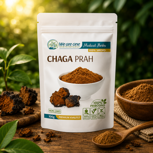 ČAGA - CHAGA 100g WE ARE ONE