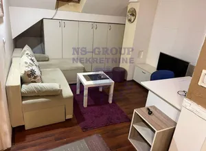 Izdavanje Stan - Novi Sad, Detelinara: Stara Detelinara - Nova Detelinara