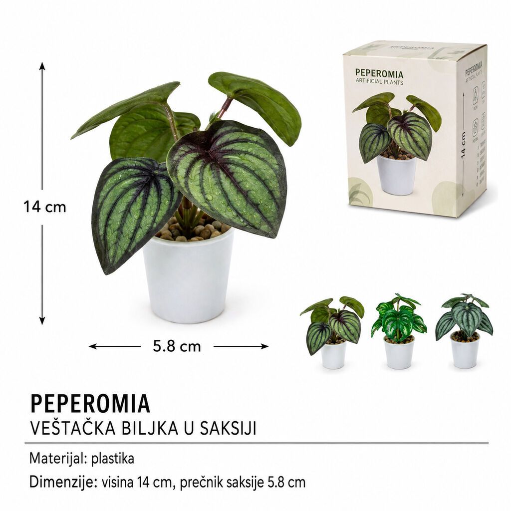 KMT Mini mala veštačka saksijska biljka – Peperomia Kompaktna